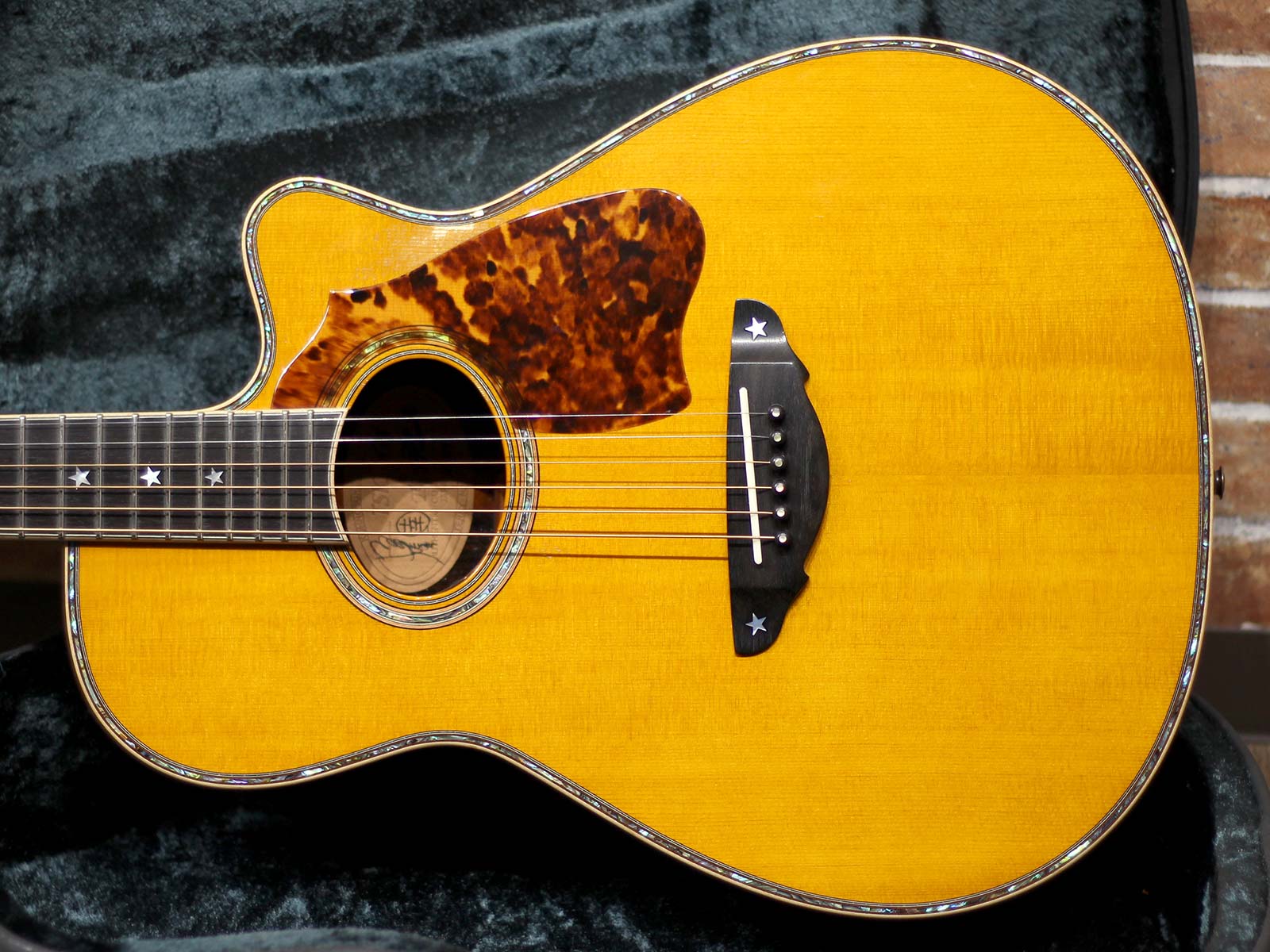 TSK No.8 Tortoise Shell Pickguard -Not Aged-